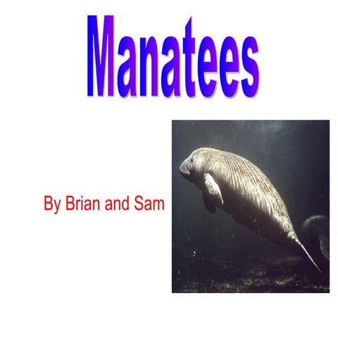 Manatees | PPT