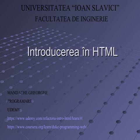 Mandache Sorin | PPT