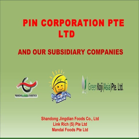 Pin Corporation Site Visit | PPT