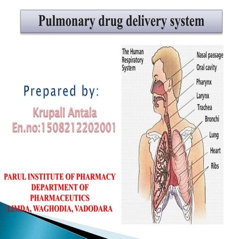 Nasopulmonary Drug Delivery System | PDF