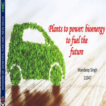 Breeding for Bioenergy | PPTX