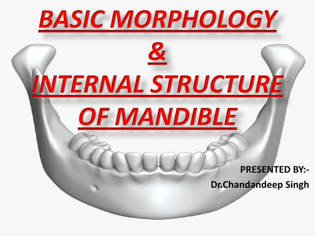 Anatomy of mandible | PPTX