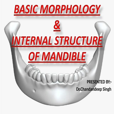 mandible anatomy- anatomy- anatomy- anatomy.pptx