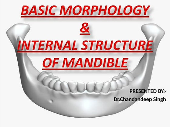 Anatomy of mandible | PPTX