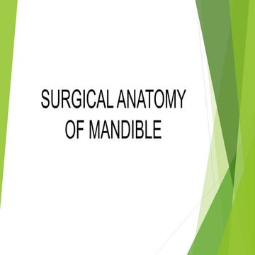 Mandible anatomy2.pptx