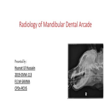Radiology Canine mandible dental arcade.pptx