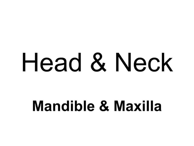 Various Pelvic lines | DOC