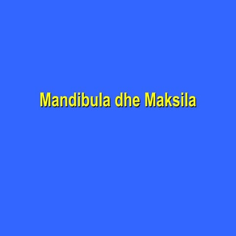 Mandibula dhe Maksila. Document power point | PPT