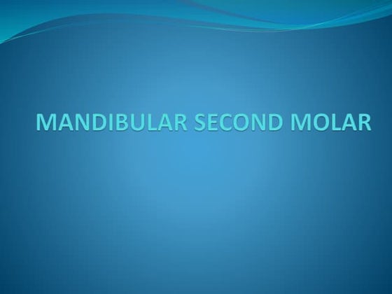 Mand. molars | PPT