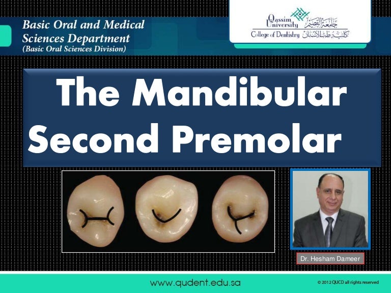 Mandibular 2nd premolars 2020