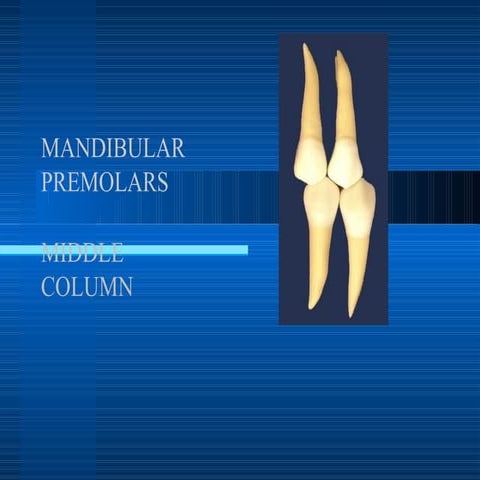 Maxillary second premolar | PPTX