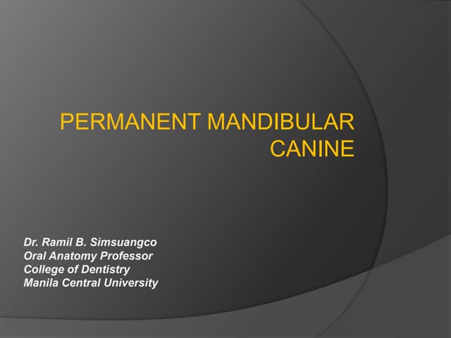PERMANENT MAXILLARY CANINE | PPTX