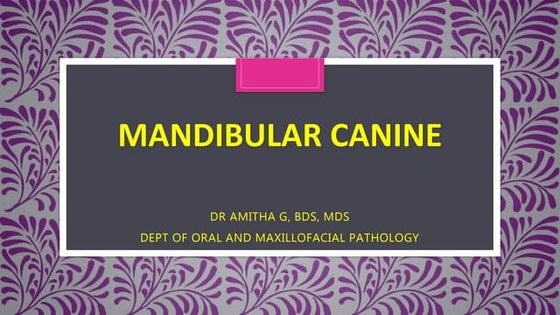 PERMANENT MAXILLARY CANINE | PPT
