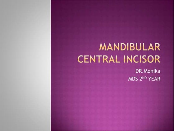 lower/mandibular central incisor | PPT