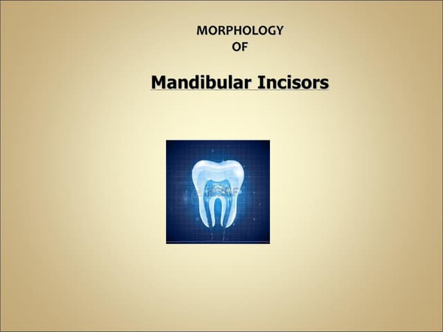 morphology of Maxillary central and lateral incisors teeth | PPT