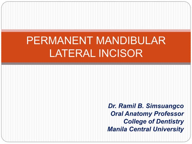 Permanent Mandibular Canine | PPTX
