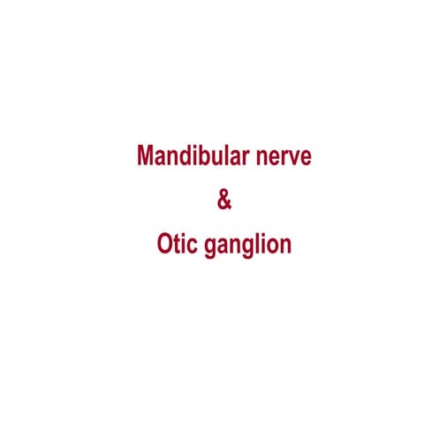 otic ganglion.pptx