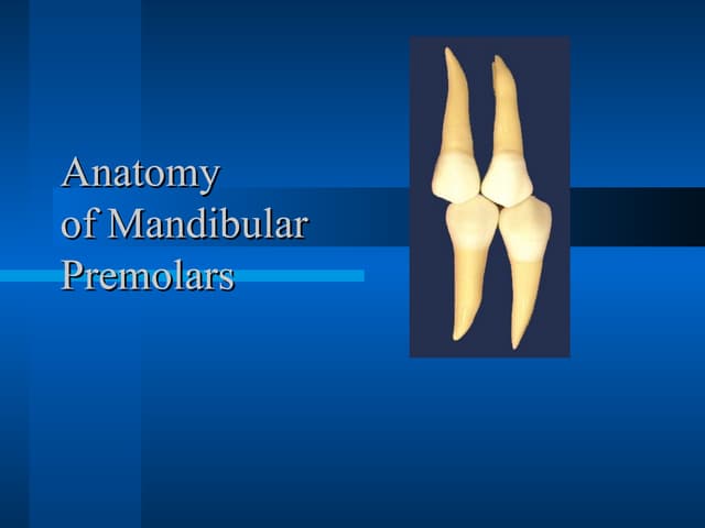 Maxillary second premolar | PPTX