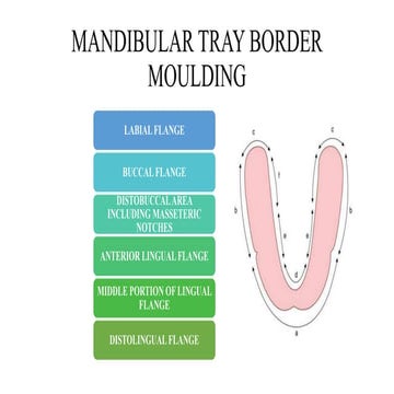 MANDIBULAR TRAY BORDER MOULDING.pptx
