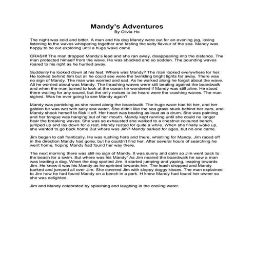 Mandys adventures | PDF