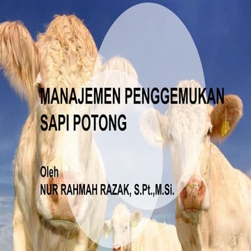 penggemukan sapi potong bahan mata kul.pptx