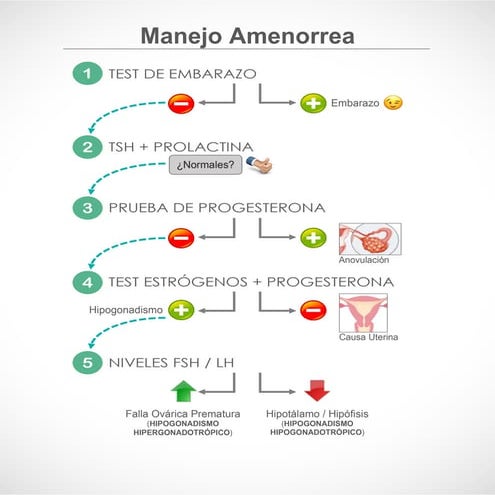 Manejo amenorrea | PDF