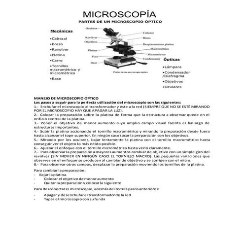 Manejo de microscopio optico | DOCX