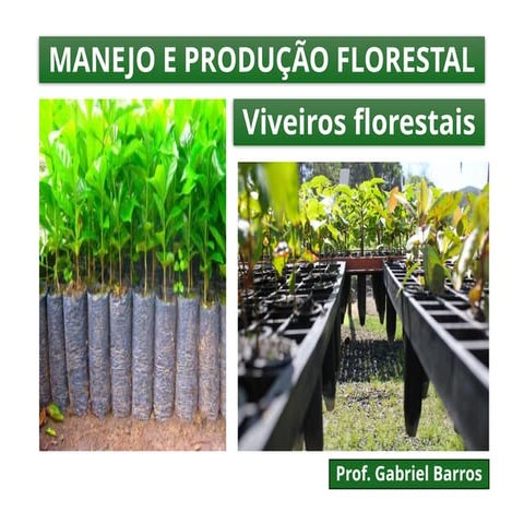 Viveiro de mudas embrapa | PDF