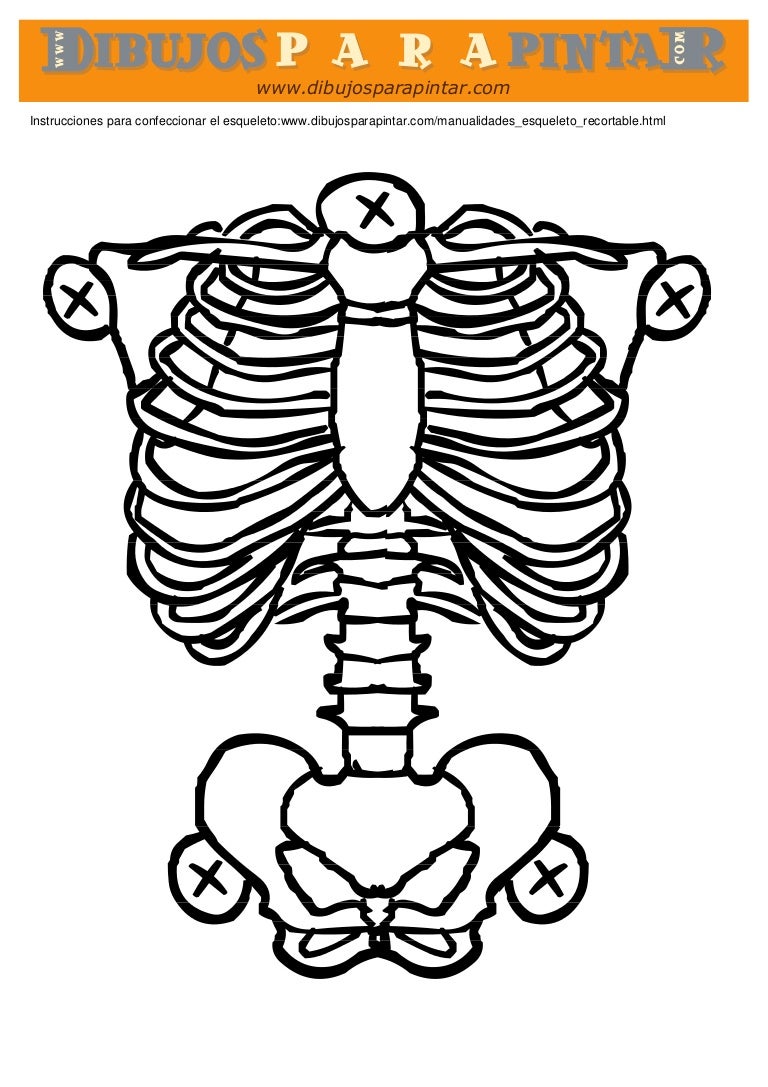 Man esqueleto recortable_partes