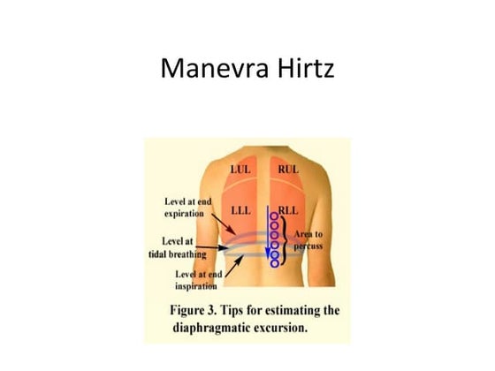 Abrevieri și simboluri folosite în limbajul și scrierea medicală | PDF