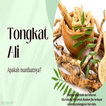 Manfaat Tongkat Ali.pptx