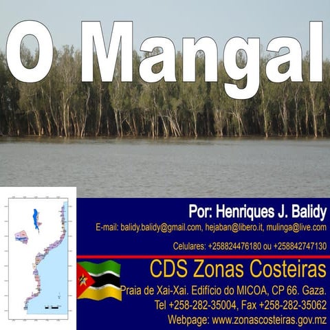mangais_versao2014 (1).pdf ghghfhghjgjhjhj | PDF