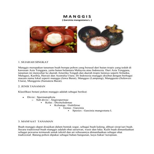 Manggis | DOCX