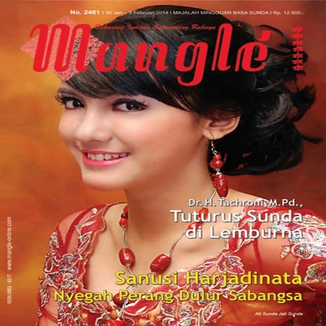 Mangle 2461 | PDF
