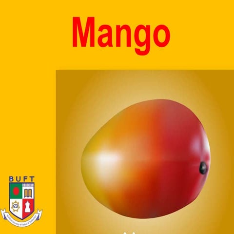 Supply chain of Mango. | PPTX