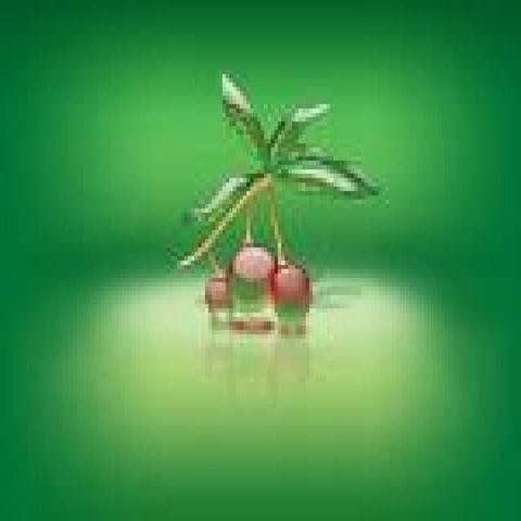 Mango Ppt