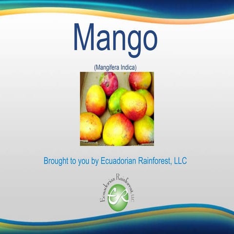 Mango | PPT