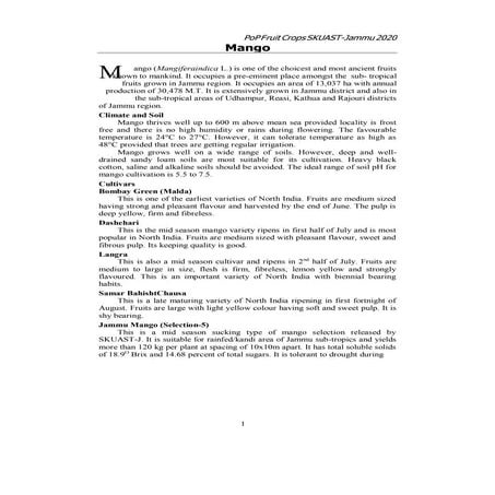 Mango | PDF