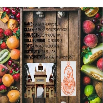 mango-ppt.pptx