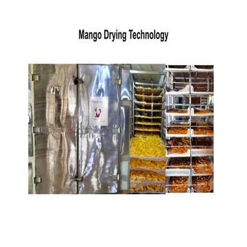 Mango Drying Technology.pptx Manufacturing Drying Mango Machine ...