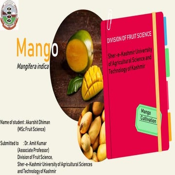 Mango: Production Technology , Plant protection , Agronomy , Varieties | PPTX