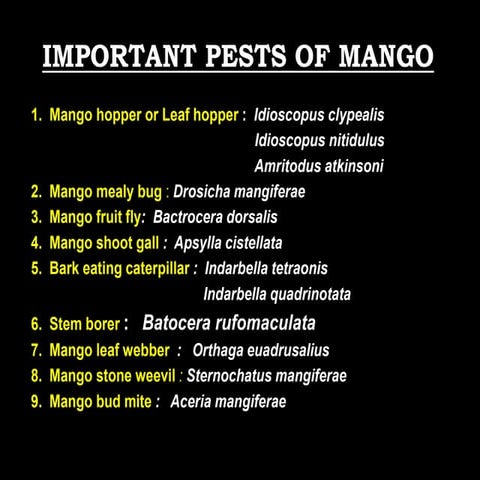 Important Mango Pests | PPT