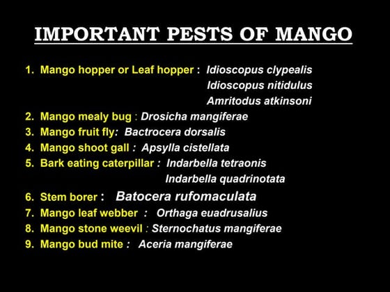 mango plant hopper | PPTX | Gardening | Home & Garden