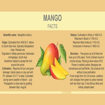 Mango in South-East Asia | PDF