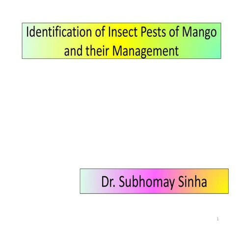 Mango insect pests and their management. | PDF