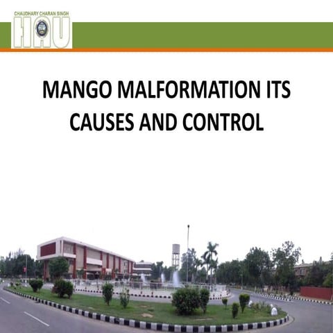 Mango malformation | PPTX