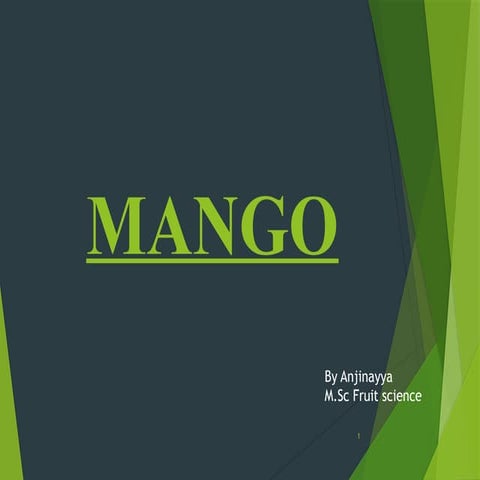 mango production technology ppt prepared by anjinayya.pptx