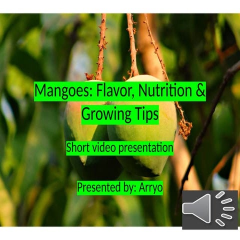 presentation general knowledge of mango.pptx