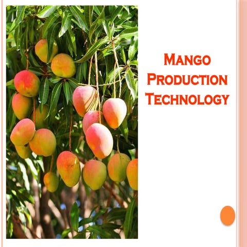 Mango ProductionIPDM Andhra Pradesh technology.pptx