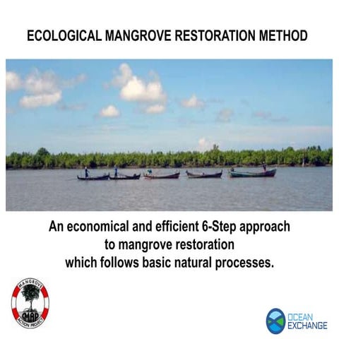 Mangrove Action Project | PPTX